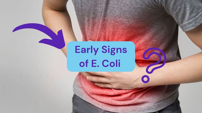 Early Signs of E. coli Infection: What Clinicians Should Watch For